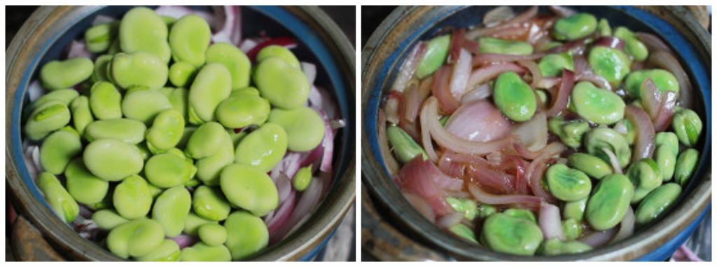 Broad Bean (Vicia Faba) | China Yummy Food